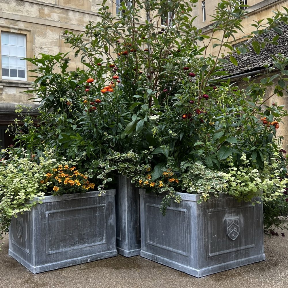 Buy stylish hertage hand-made English Square Lead Planters